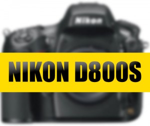 Nikon D900 « NEW CAMERA
