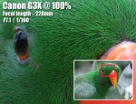 Canon G3X Sample Images « NEW CAMERA