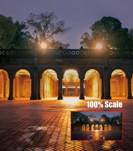 Nikon Z50 II Sample Images « NEW CAMERA